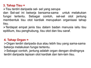 Struktur dan fungsi | PPTX