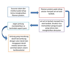 Struktur dan fungsi | PPTX
