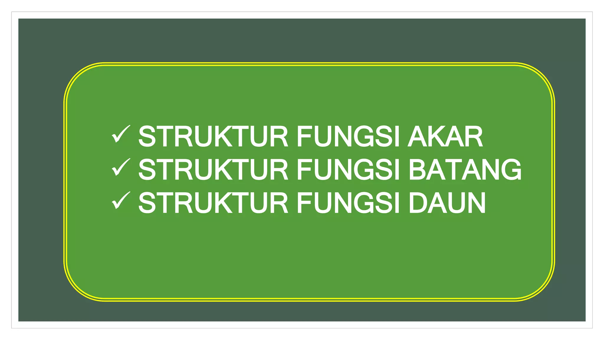STRUKTUR DAN FUNGSI.ppt