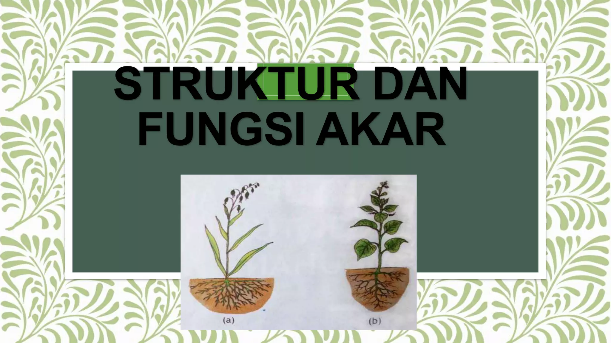 STRUKTUR DAN FUNGSI.ppt