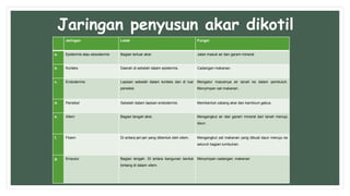 STRUKTUR DAN FUNGSI.ppt