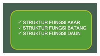STRUKTUR DAN FUNGSI.ppt