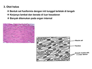 Struktur dan fungsi dan penjelasaanya dengan detail | PPT