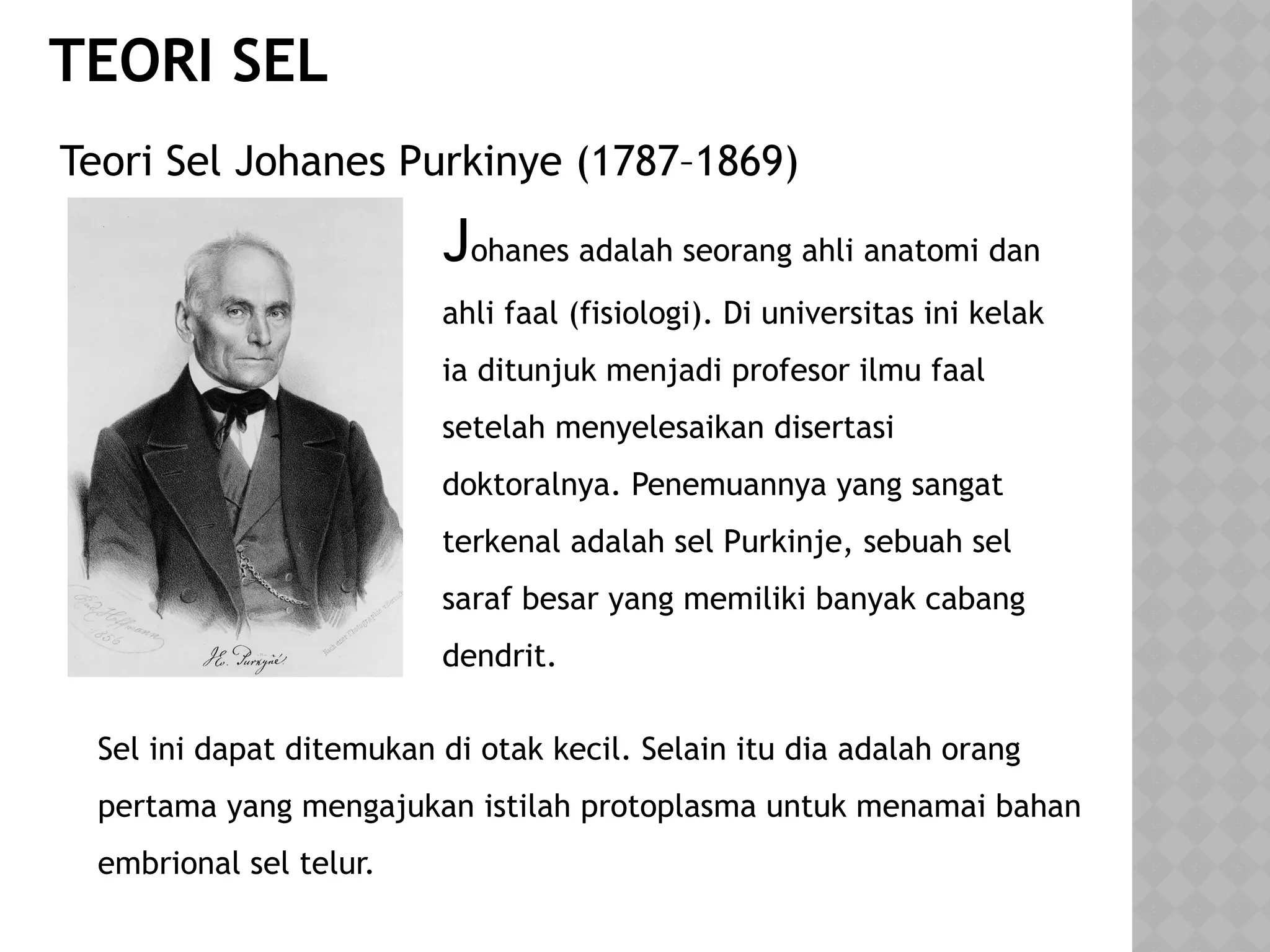 STRUKTUR DAN FUNGSI BAGIAN-BAGIAN SEL - Part 1.pptx