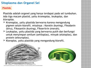 STRUKTUR DAN FUNGSI BAGIAN-BAGIAN SEL - Part 2.pptx