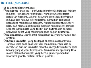 STRUKTUR DAN FUNGSI BAGIAN-BAGIAN SEL - Part 2.pptx