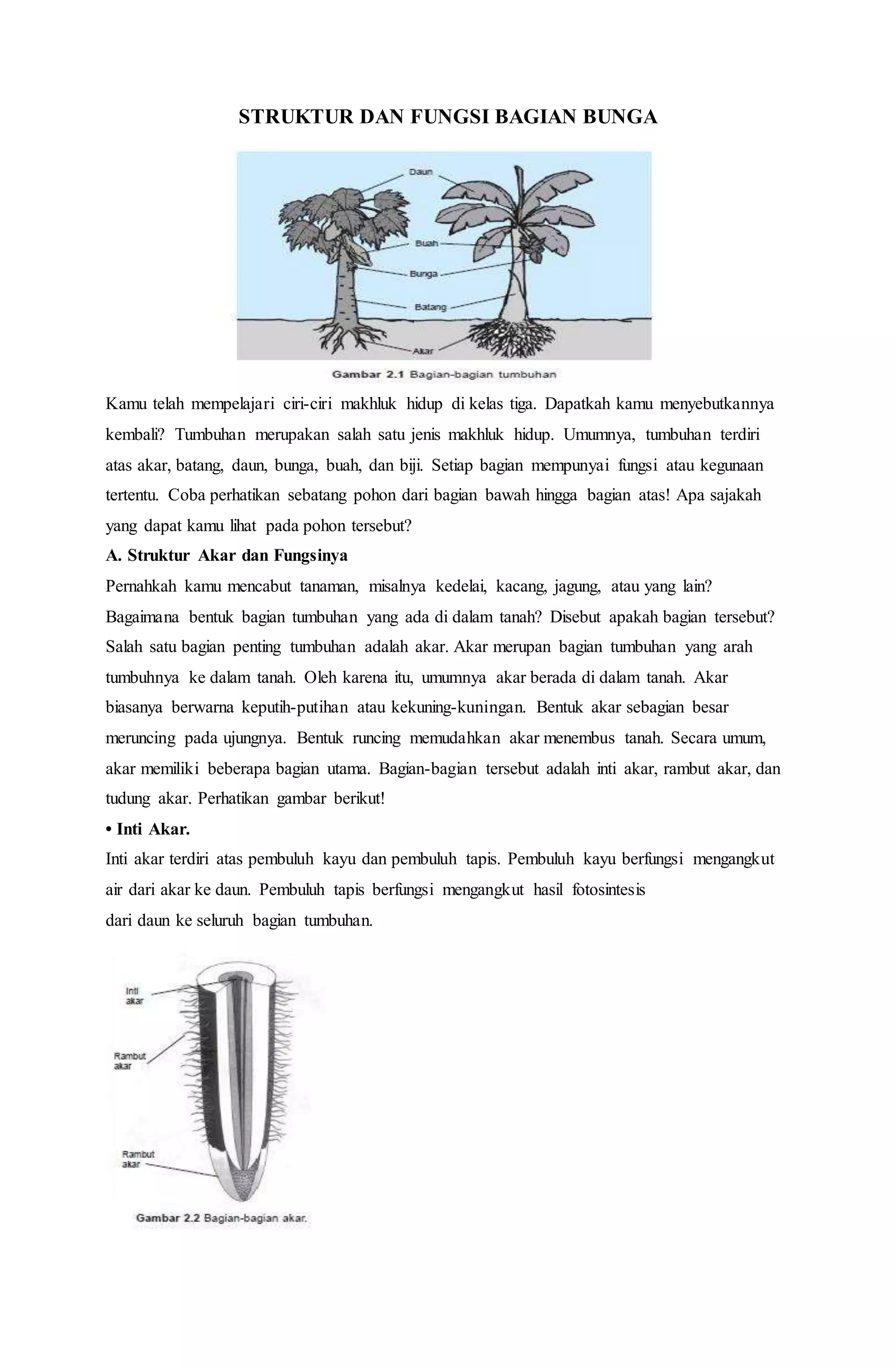 Struktur Dan Fungsi Bagian Bunga | PDF