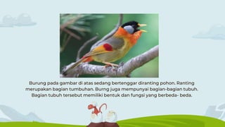 struktur_dan_fungsi_bagian_tubuh_hewan_dan_tumbuhan[1].pptx