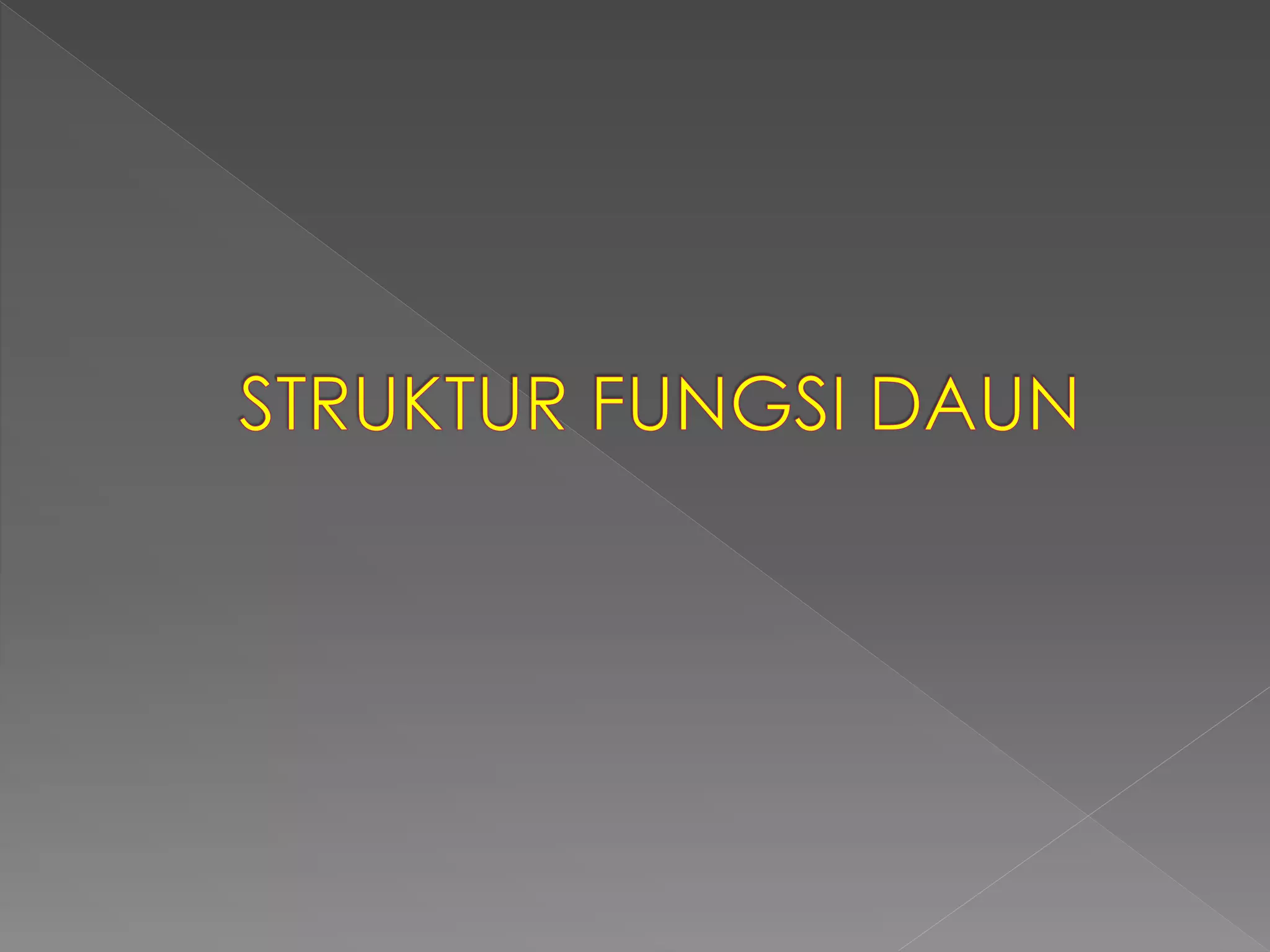 Struktur dan Fungsi Daun | PPTX