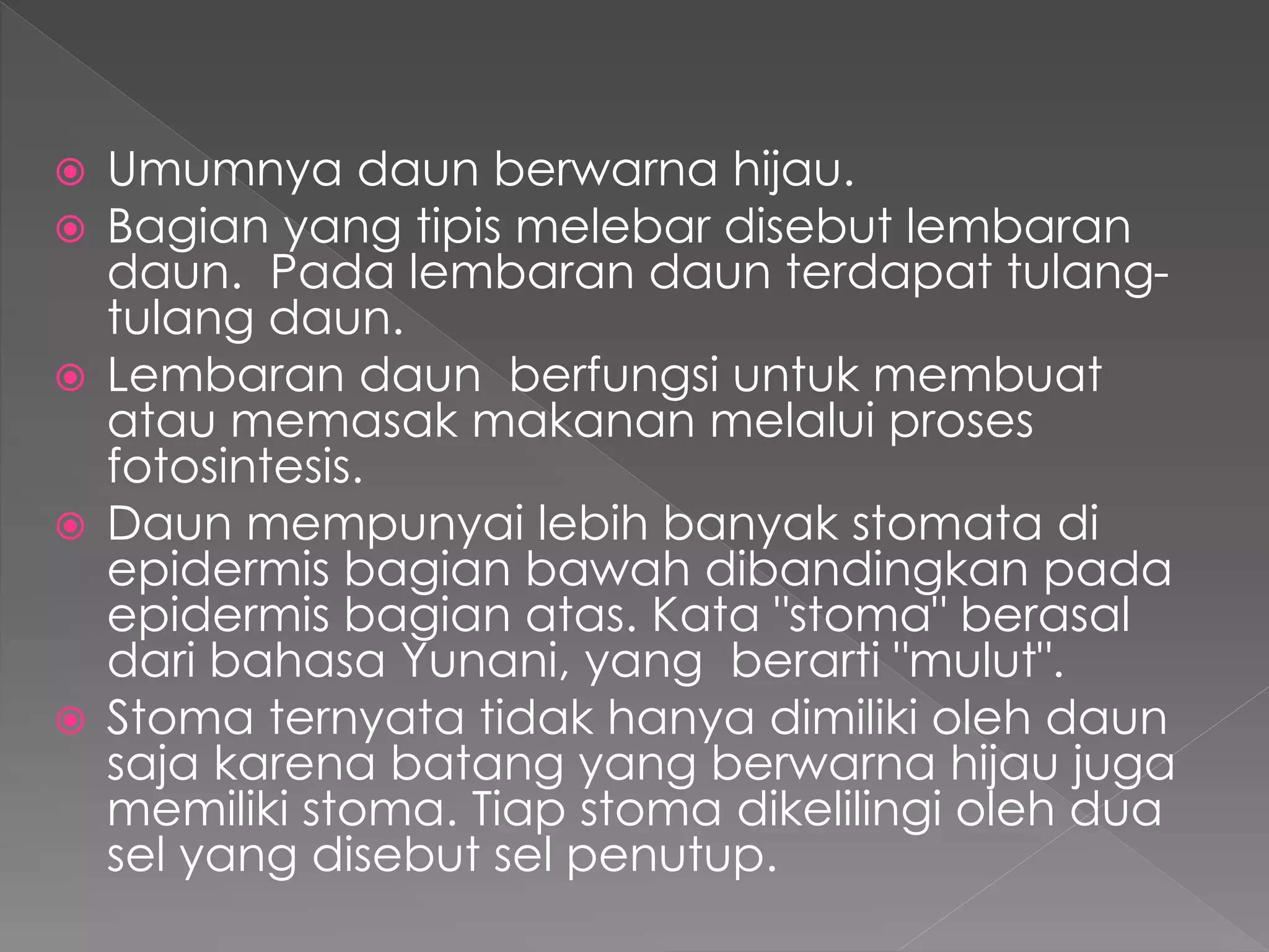 Struktur dan Fungsi Daun | PPTX