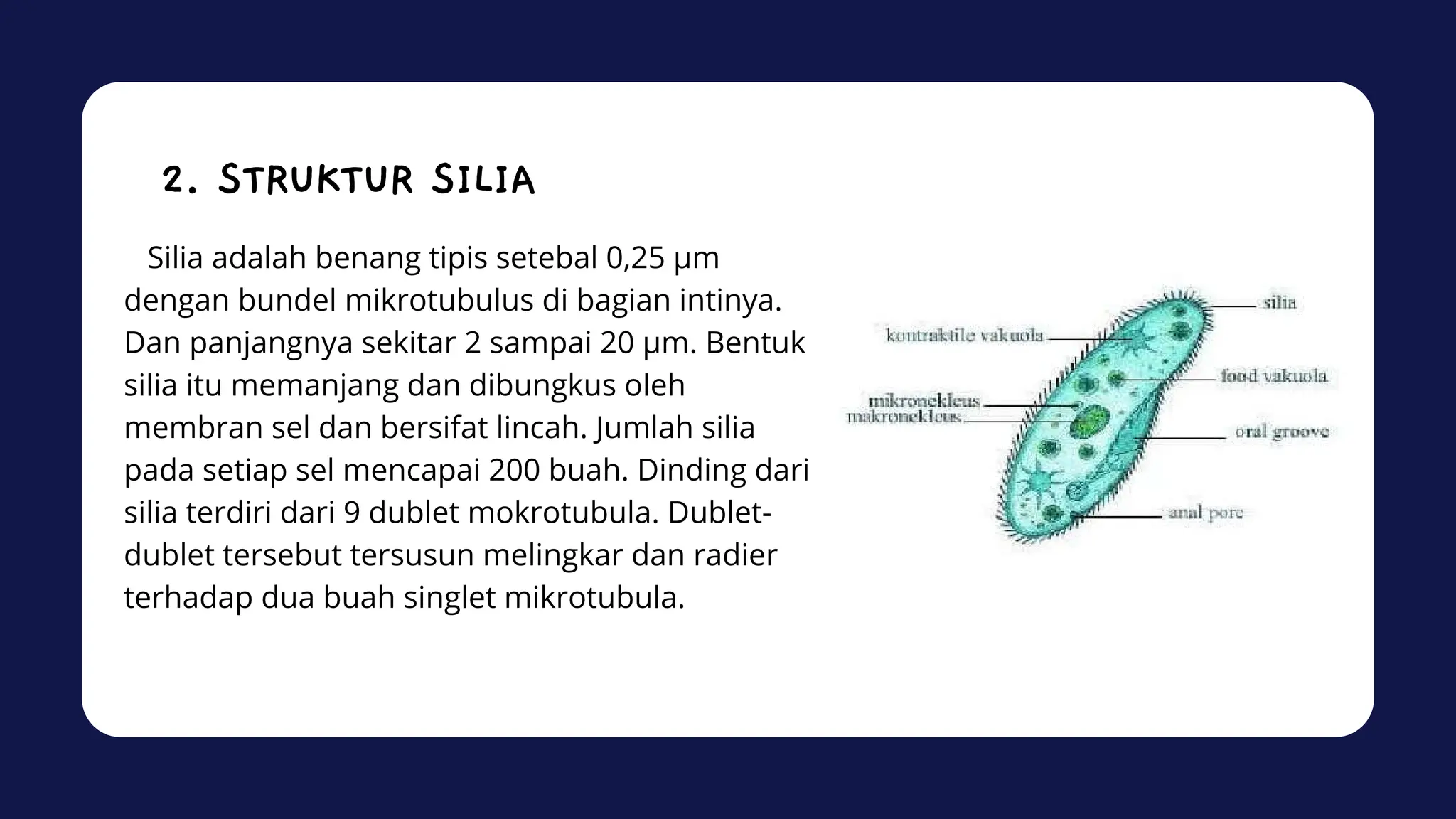 Struktur dan Fungsi Dinding Sel, Silia dan Flagel (kelompok 1).pdf