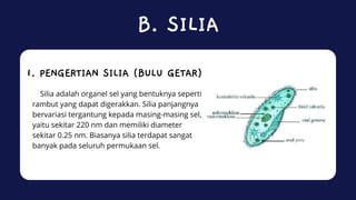 Struktur dan Fungsi Dinding Sel, Silia dan Flagel (kelompok 1).pdf