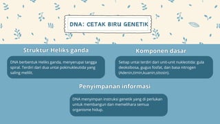Genetika-Struktur dan Fungsi DNA serta RNA | PDF