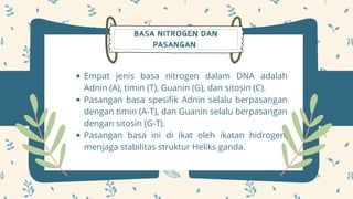 Genetika-Struktur dan Fungsi DNA serta RNA | PDF