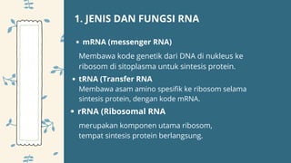 Genetika-Struktur dan Fungsi DNA serta RNA | PDF
