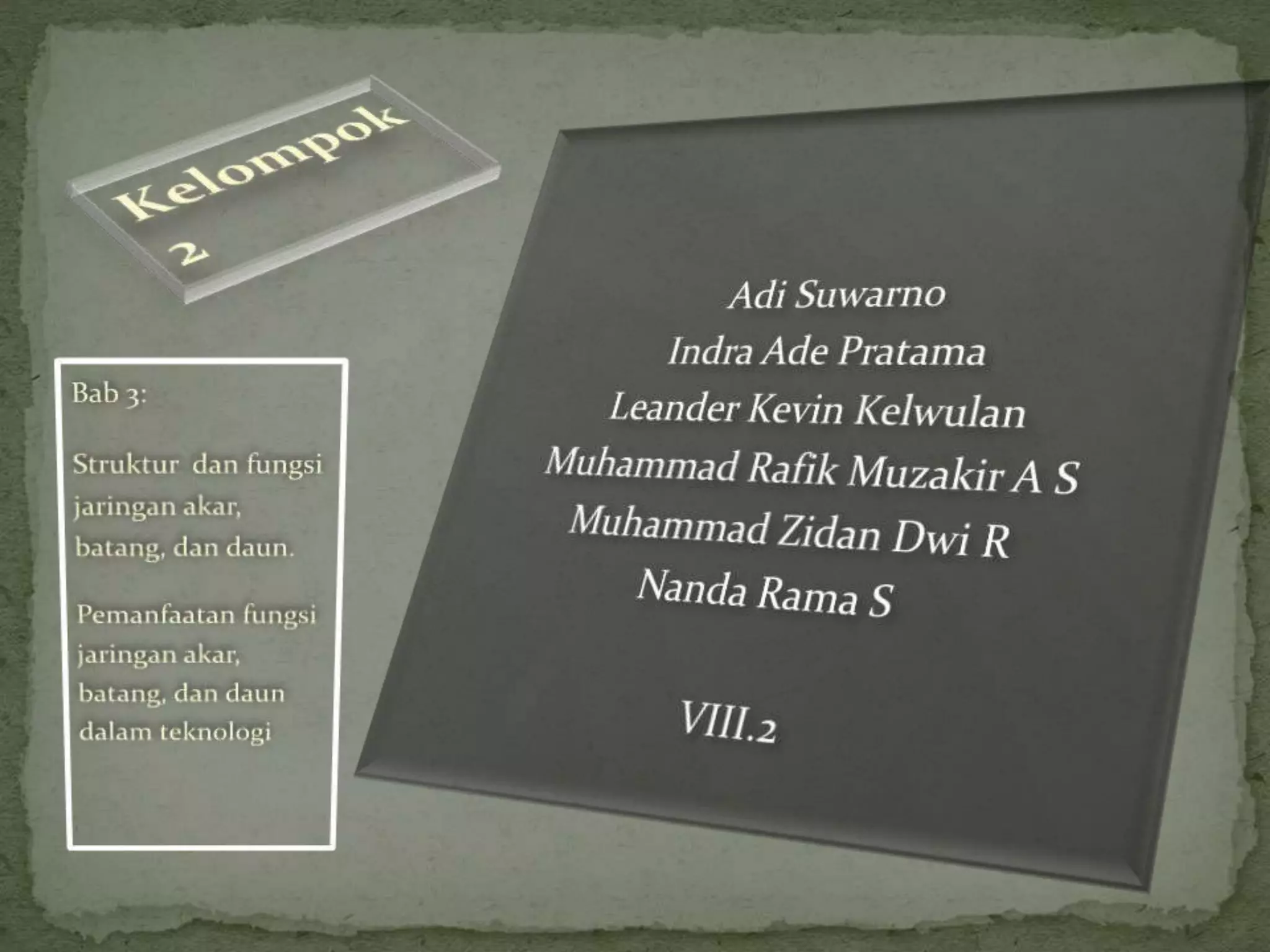 Struktur dan fungsi jaringan akar | PPTX