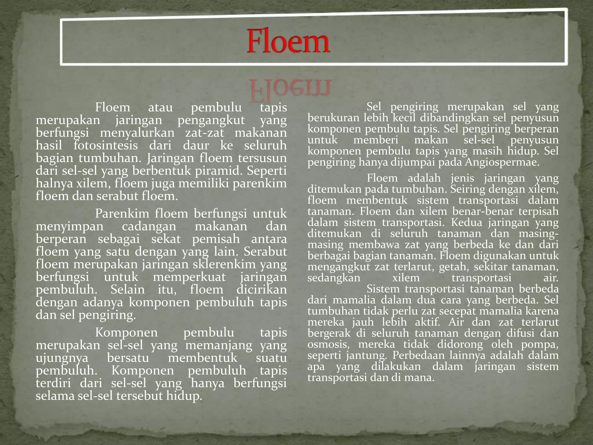 Struktur dan fungsi jaringan akar | PPTX