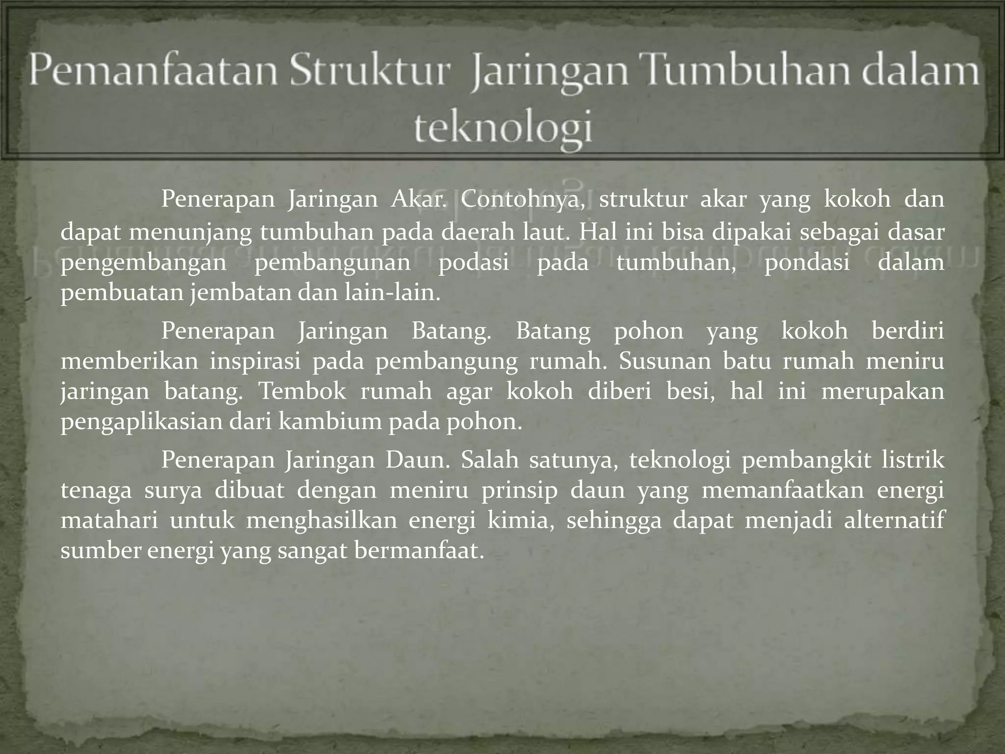 Struktur dan fungsi jaringan akar | PPTX