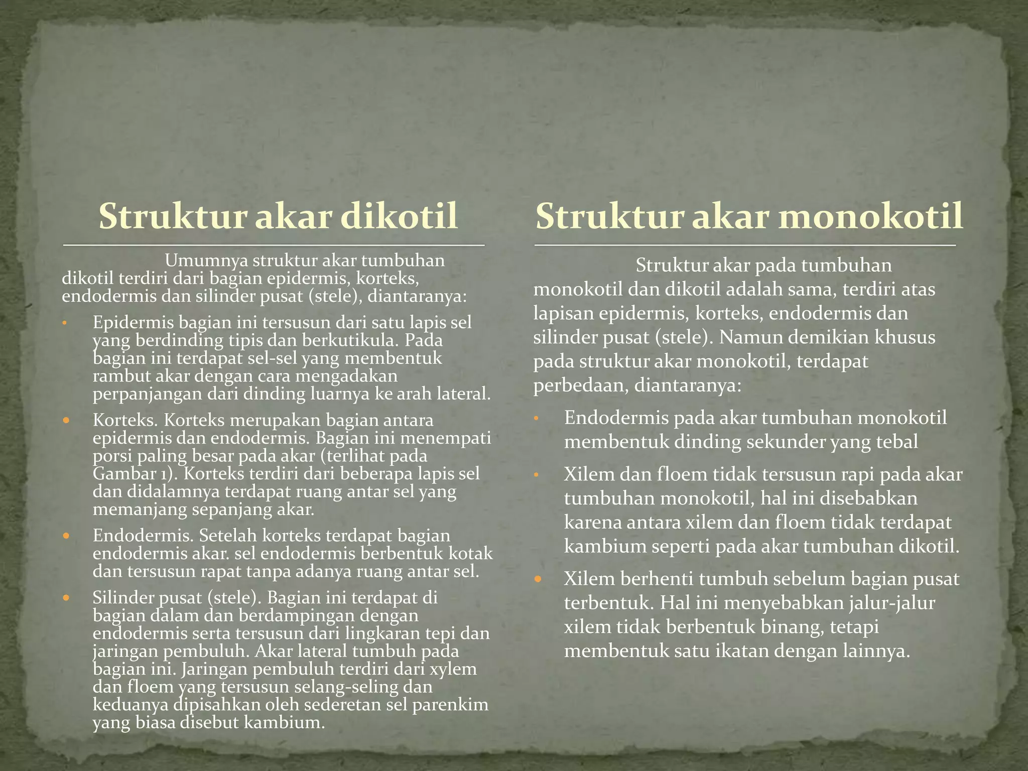 Struktur dan fungsi jaringan akar | PPTX