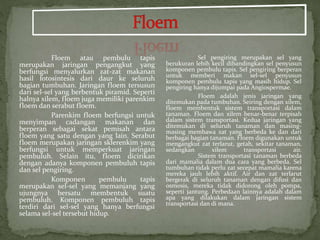 Struktur dan fungsi jaringan akar | PPTX