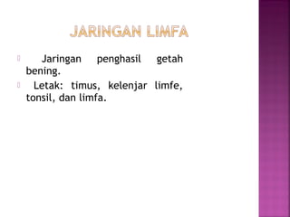 Struktur dan fungsi jaringan hewan | PPT