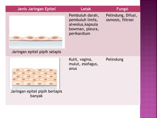 Struktur dan fungsi jaringan hewan | PPT