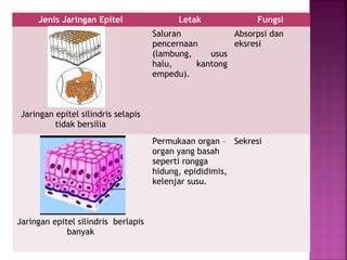 Struktur dan fungsi jaringan hewan | PPT