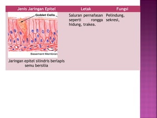 Struktur dan fungsi jaringan hewan | PPT