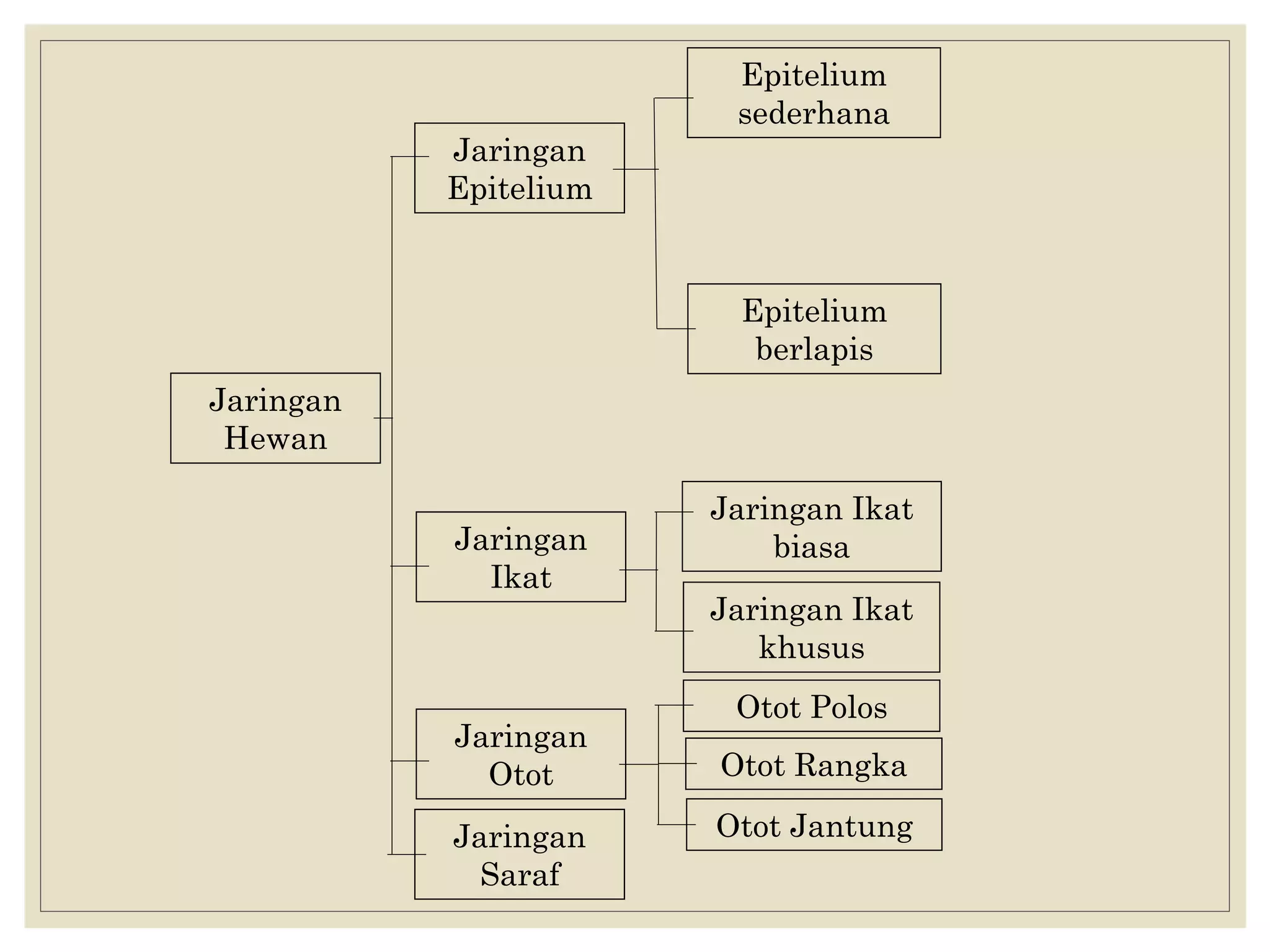 STRUKTUR_DAN_FUNGSI_JARINGAN_HEWAN_ppt.ppt