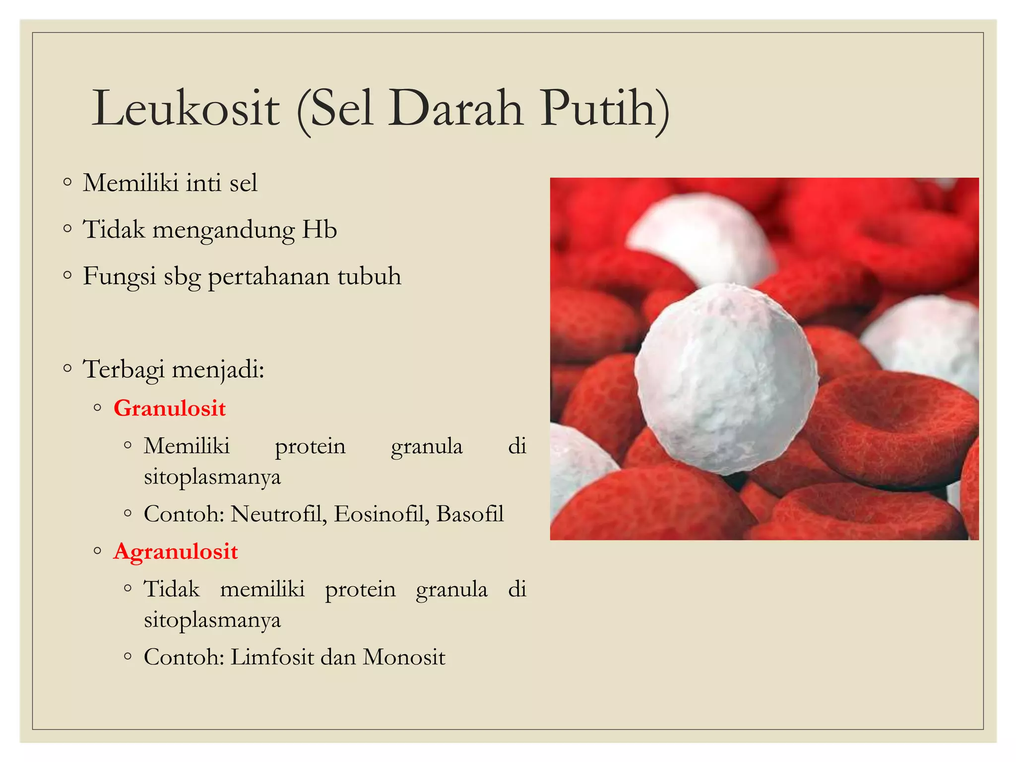 STRUKTUR_DAN_FUNGSI_JARINGAN_HEWAN_ppt.ppt