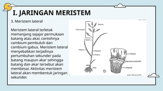 Struktur dan fungsi jaringan pada tumbuhan - Biologi.pptx