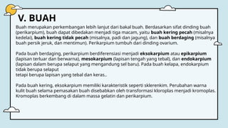 Struktur dan fungsi jaringan pada tumbuhan - Biologi.pptx