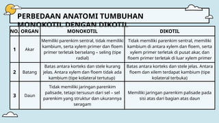 Struktur dan fungsi jaringan pada tumbuhan - Biologi.pptx