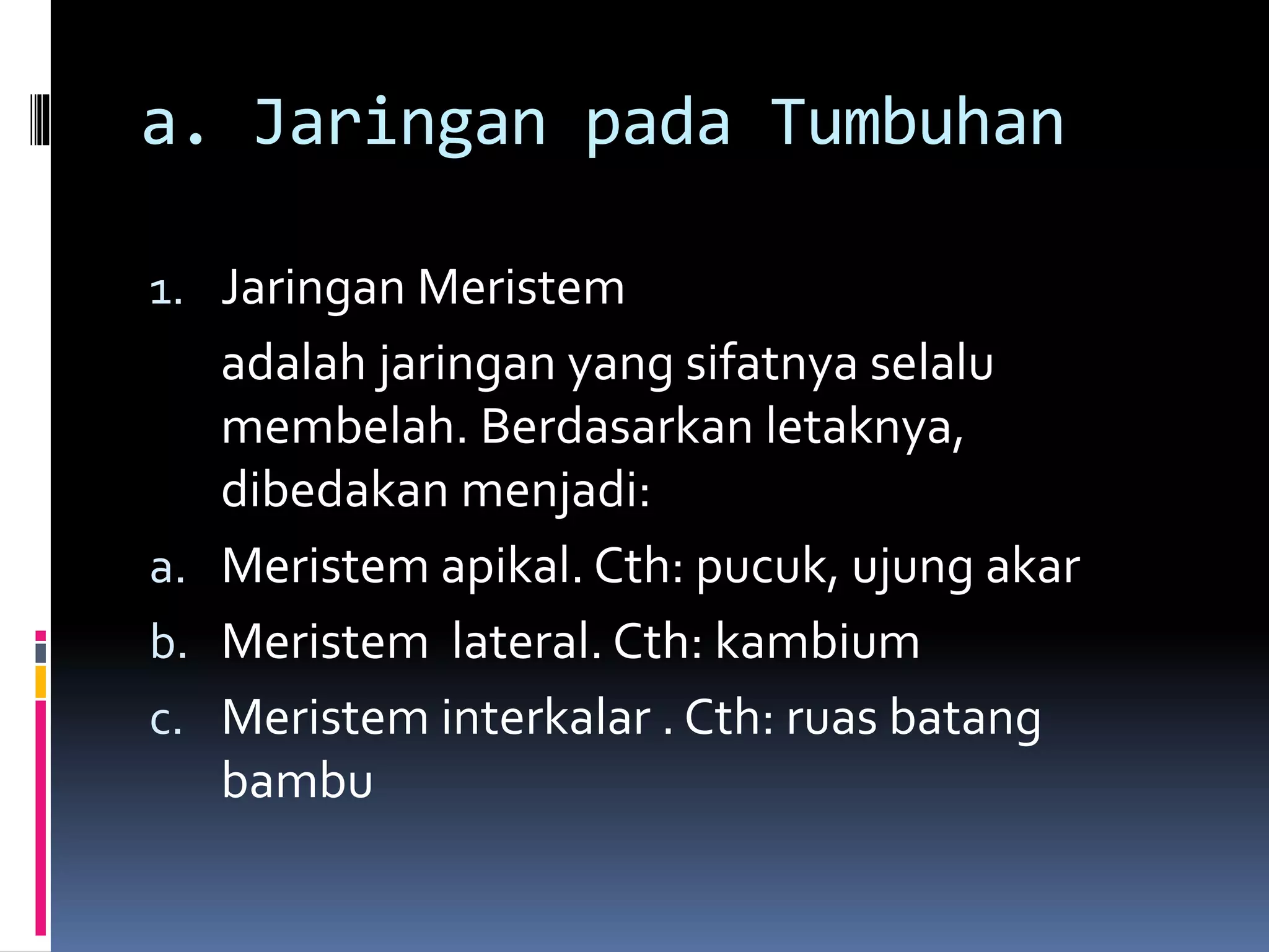 Struktur dan fungsi jaringan tumbuhan | PPTX