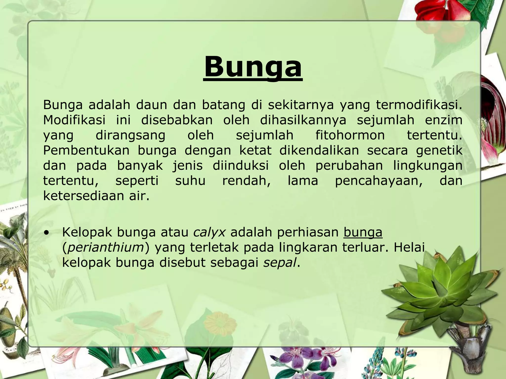 Struktur dan fungsi jaringan tumbuhan | PPTX