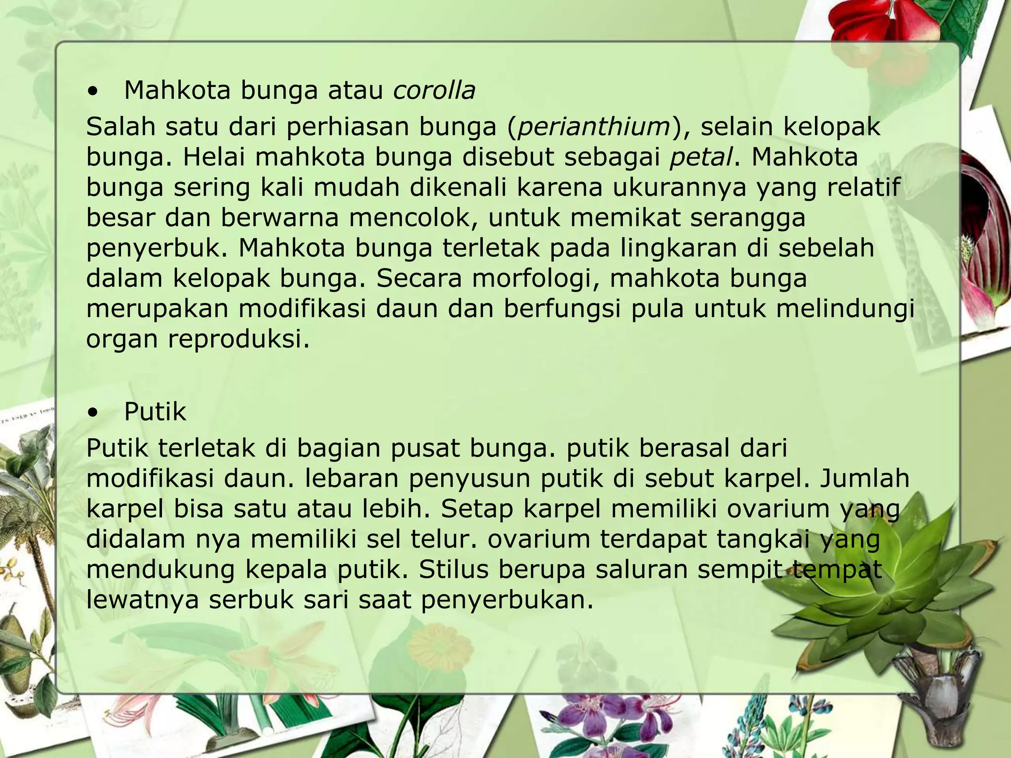 Struktur dan fungsi jaringan tumbuhan | PPTX