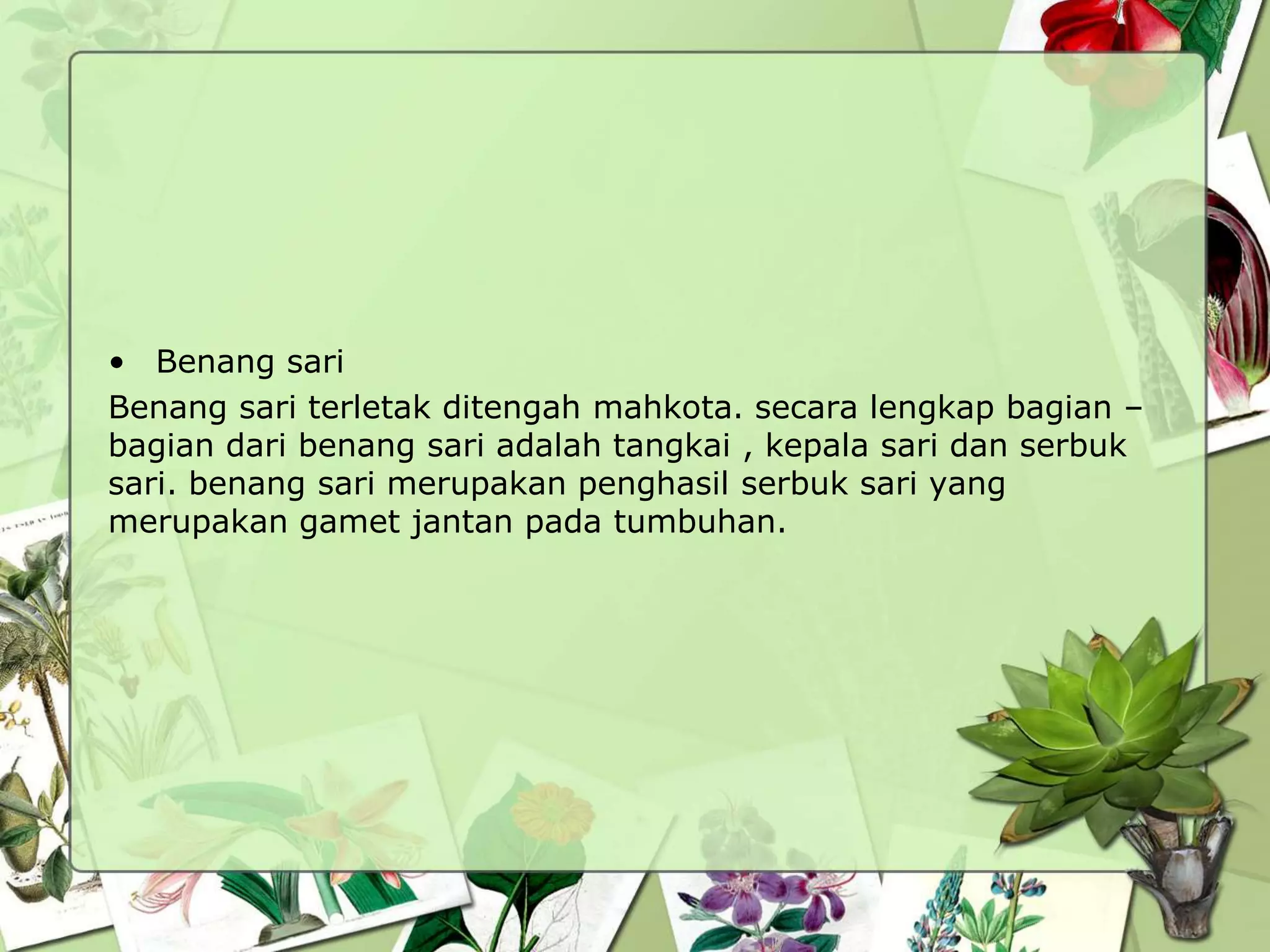 Struktur dan fungsi jaringan tumbuhan | PPTX