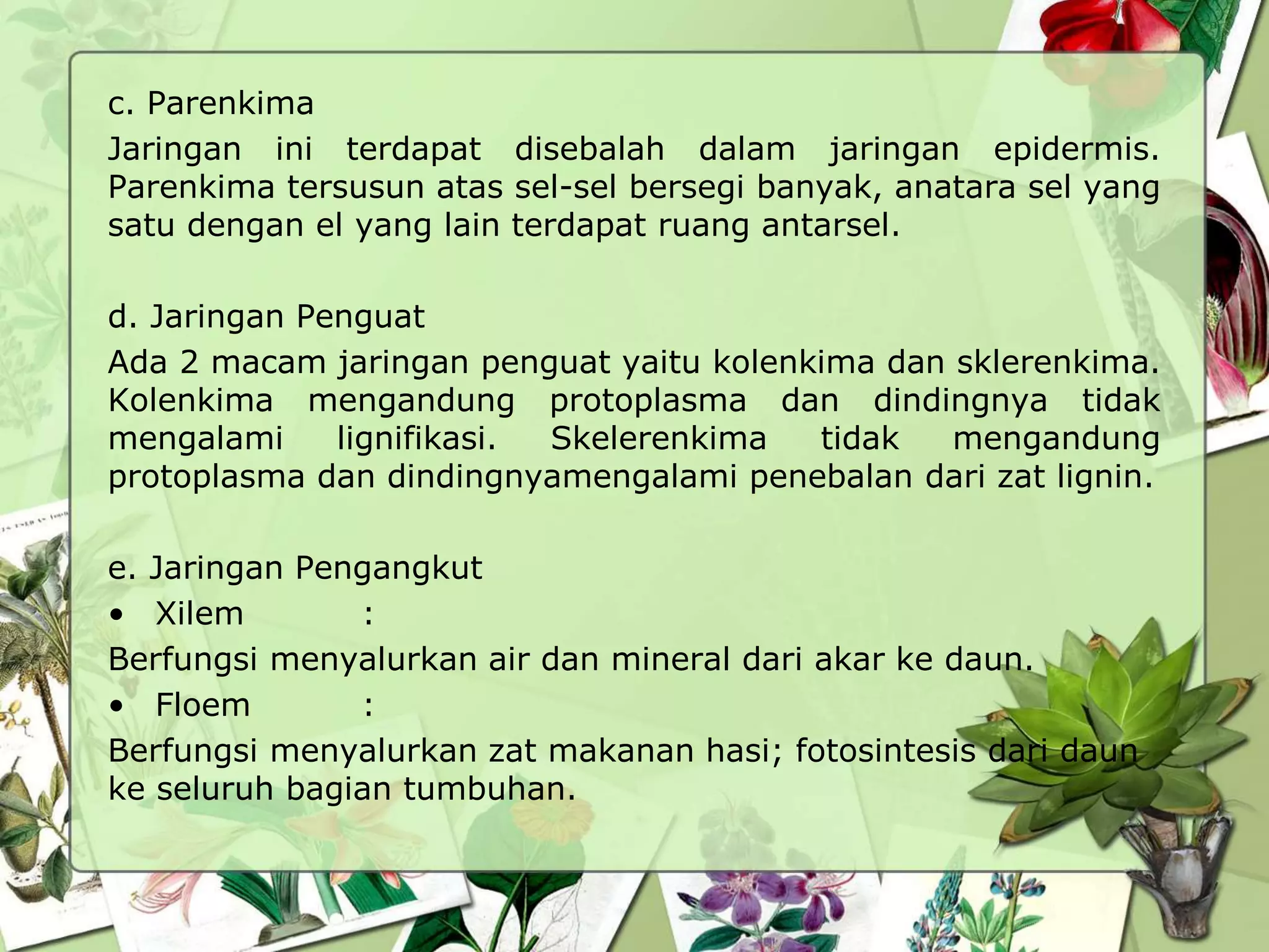 Struktur dan fungsi jaringan tumbuhan | PPTX
