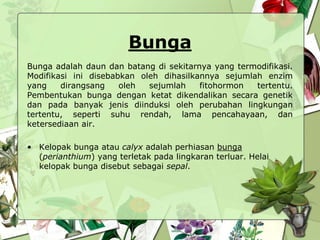 Struktur dan fungsi jaringan tumbuhan | PPTX