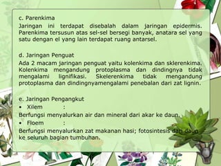 Struktur dan fungsi jaringan tumbuhan | PPTX