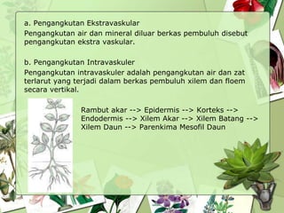 Struktur dan fungsi jaringan tumbuhan | PPTX