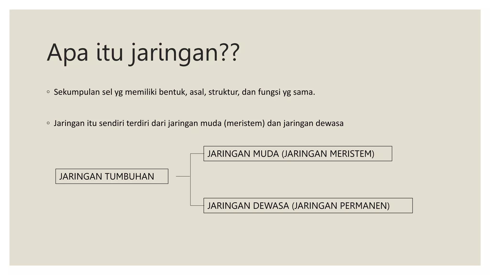 STRUKTUR DAN FUNGSI JARINGAN TUMBUHAN.pptx | Free Download