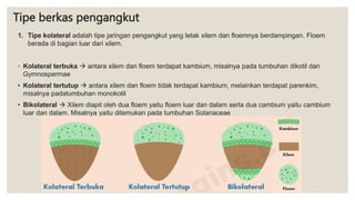STRUKTUR DAN FUNGSI JARINGAN TUMBUHAN.pptx
