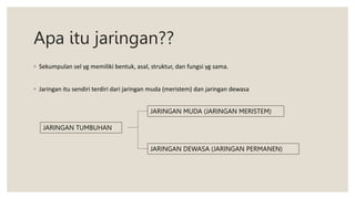 STRUKTUR DAN FUNGSI JARINGAN TUMBUHAN.pptx