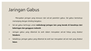 STRUKTUR DAN FUNGSI JARINGAN TUMBUHAN.pptx