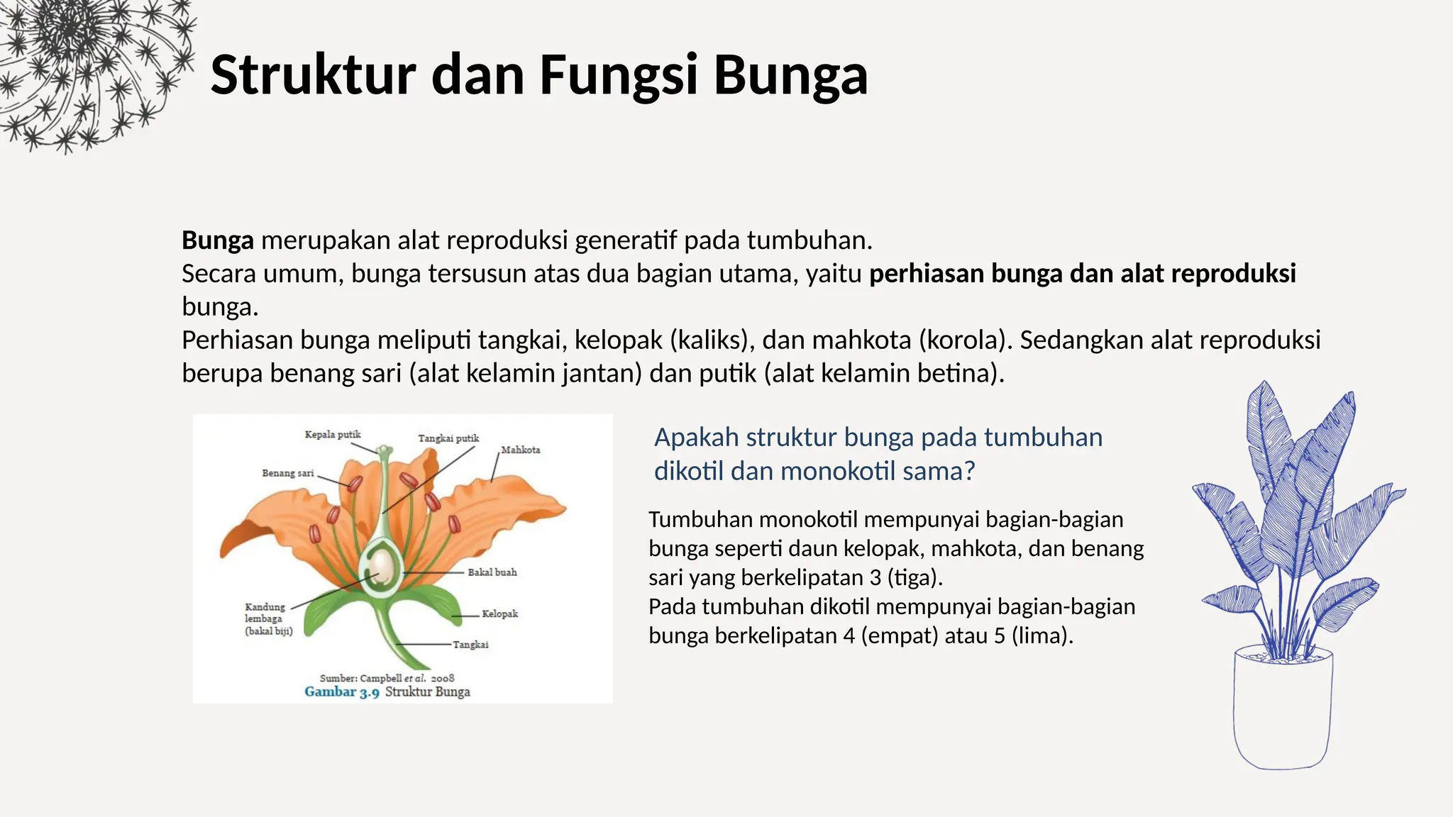 Struktur dan Fungsi Jaringan Tumbuhan.pptx