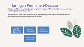 Struktur dan Fungsi Jaringan Tumbuhan.pptx