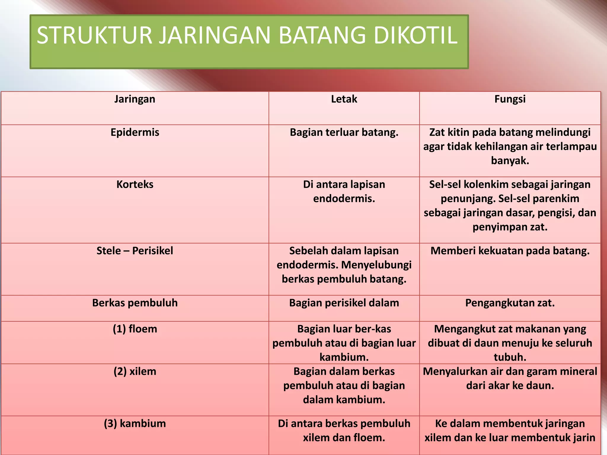 Struktur dan fungsi jaringan tumbuhan | PPTX