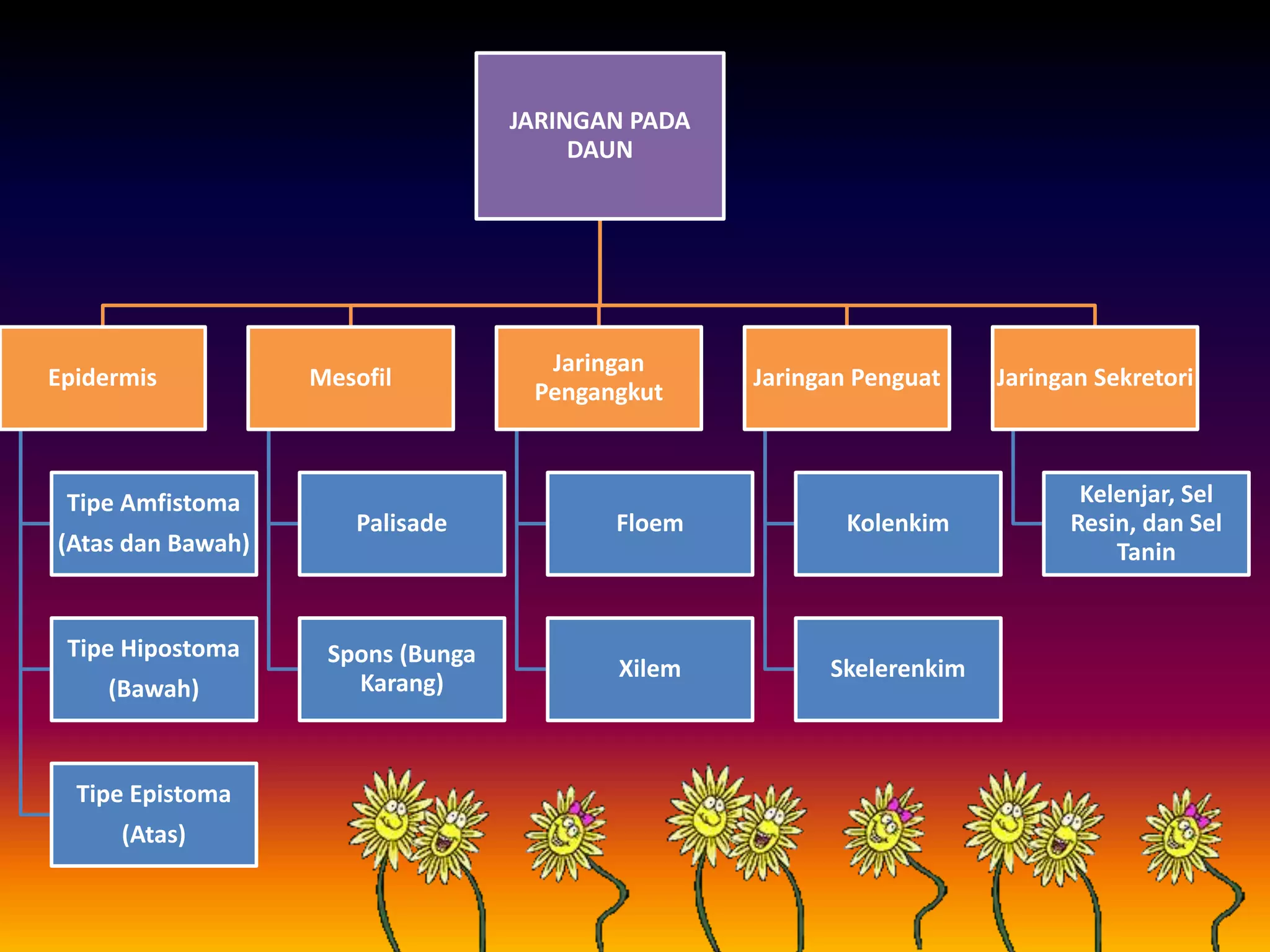 Struktur dan fungsi jaringan tumbuhan | PPTX