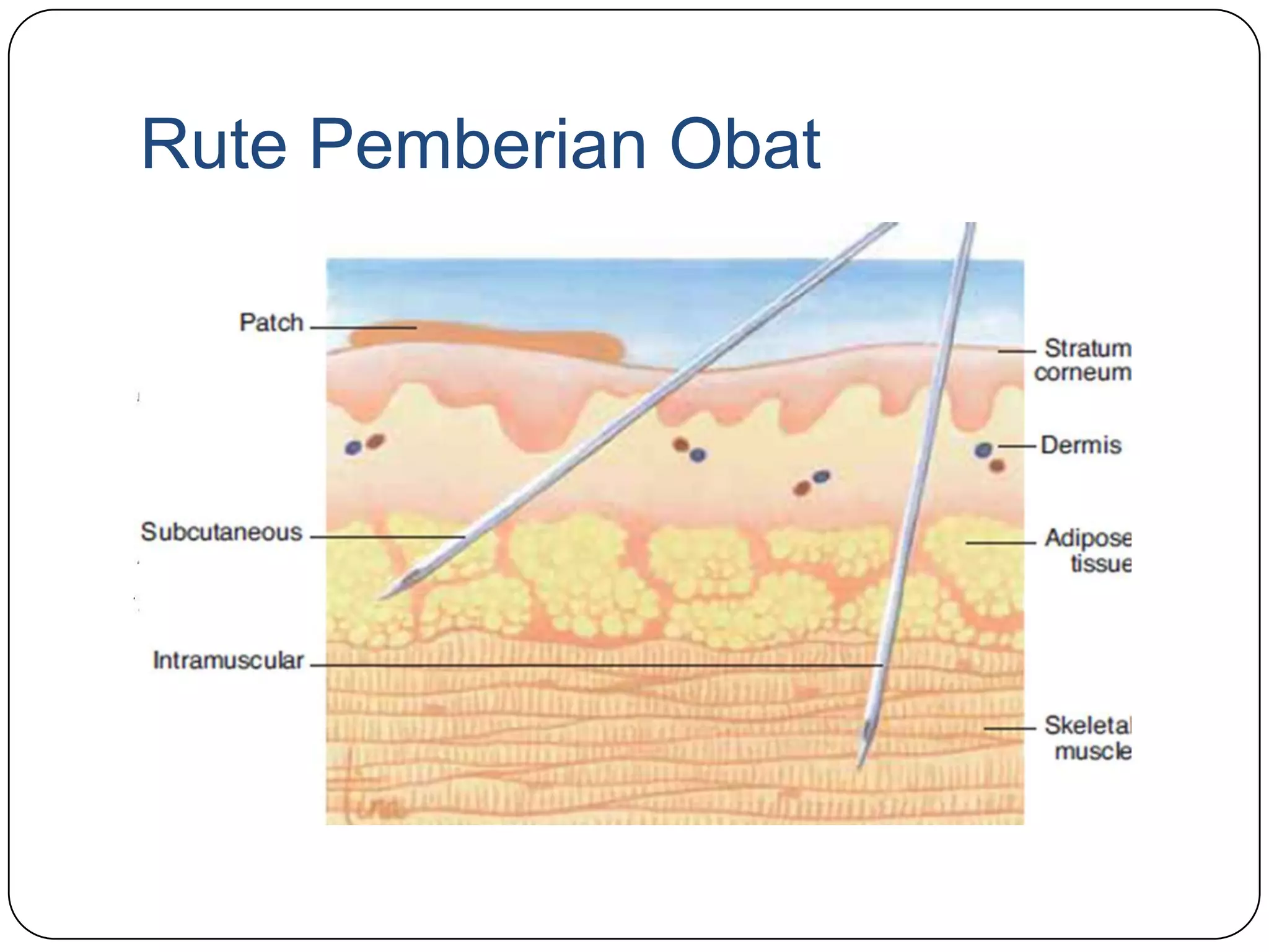 Struktur dan fungsi kulit | PPT